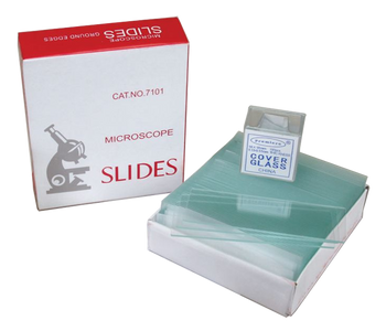 Blank Microscope Slides and Coverslips – Easy Peasy Science