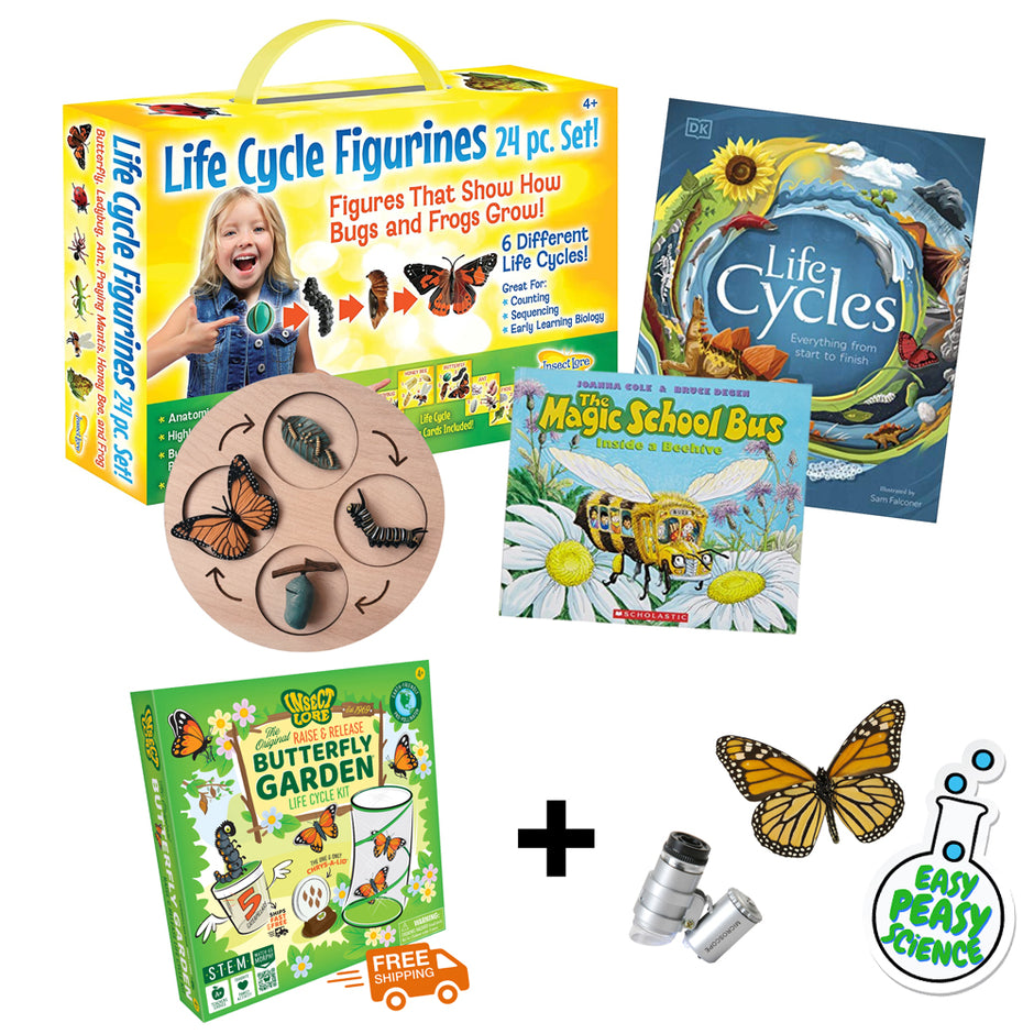 Butterfly Life Cycle Bundle – Easy Peasy Science