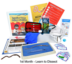 Human Body Discovery & Dissect 6 Month Subscription – Easy Peasy Science